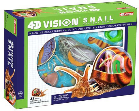 4D-puzzle Snail