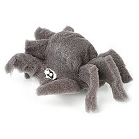 Spider Morpher